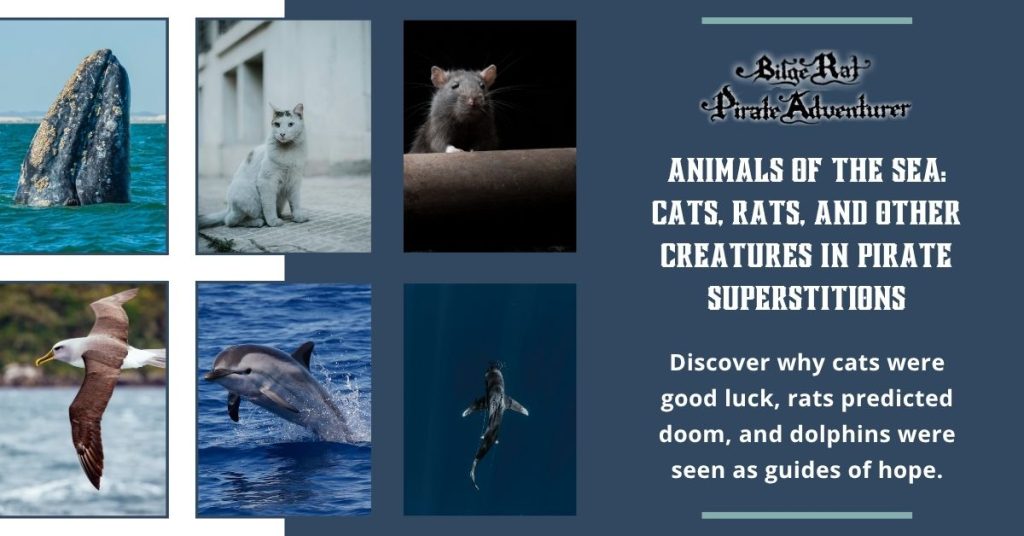 Animals of the Sea: Cats, Rats, and Other Creatures in Pirate ...